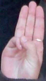 Section Info – Skewen Scout Group